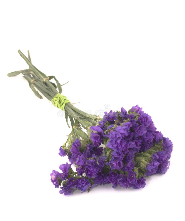 Flores De Statice - Limonium Sinuatum Foto de archivo - Imagen de flor ...