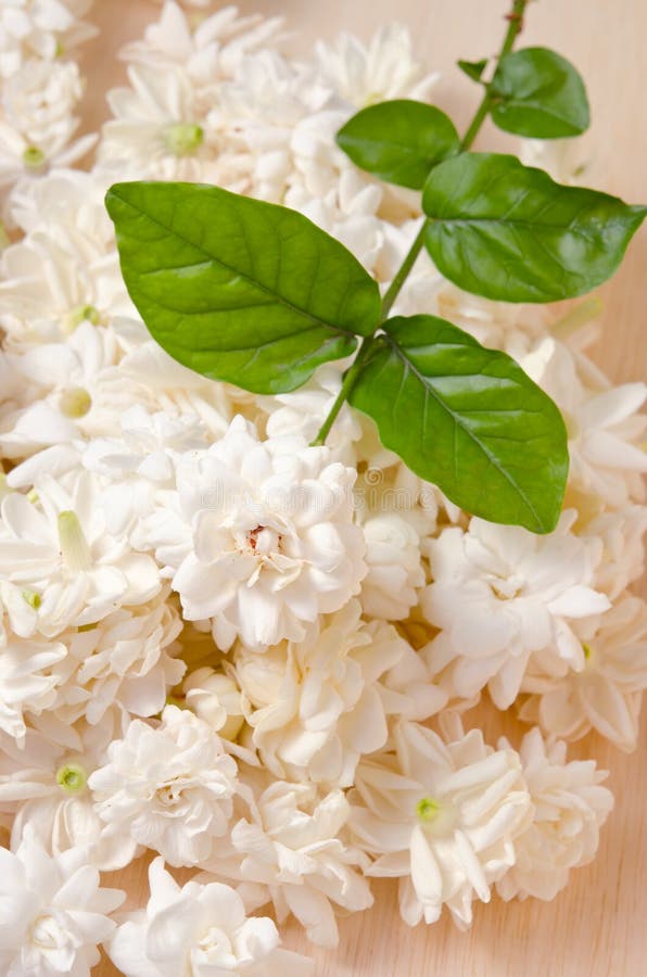 Flores Do Jasmim Agrupadas No Fundo Da Placa De Madeira Foto de Stock ...