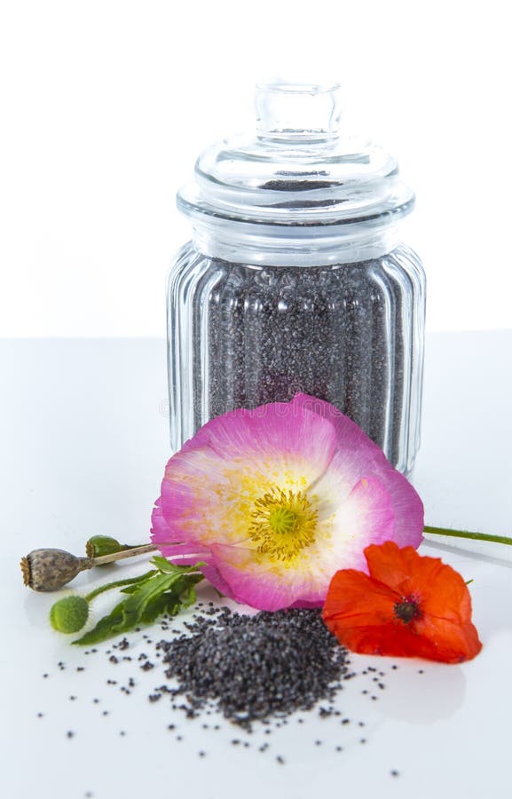 Flores E Sementes Da Papoila Foto de Stock - Imagem de alimento, opiato ...