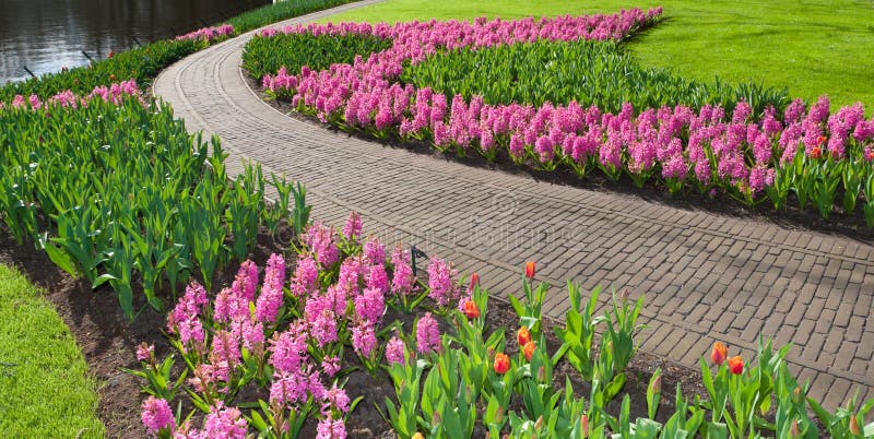 Flores en parque foto de archivo. Imagen de belleza, sendero - 24162534