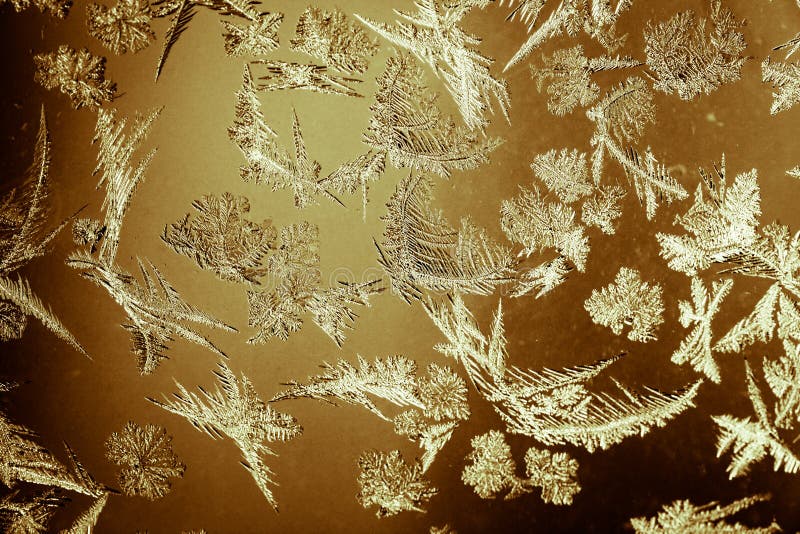 Flores heladas imagen de archivo. Imagen de cristales - 37448187