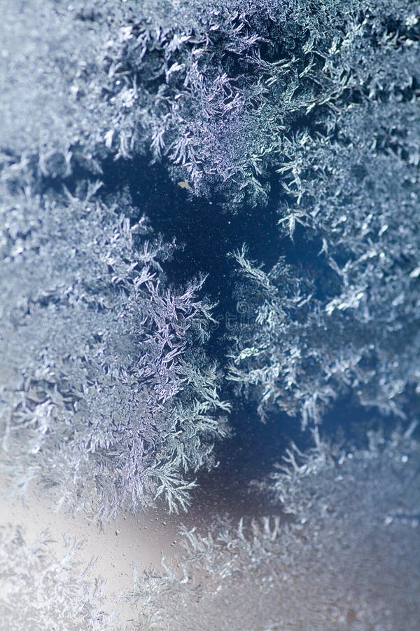 Flores Heladas En Una Ventana Congelada Foto de archivo - Imagen de ...