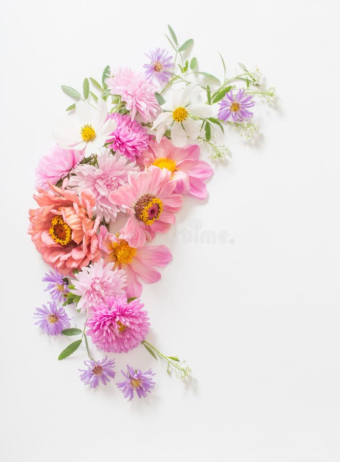 Flores Rosadas En El Fondo Blanco Imagen de archivo - Imagen de floral ...