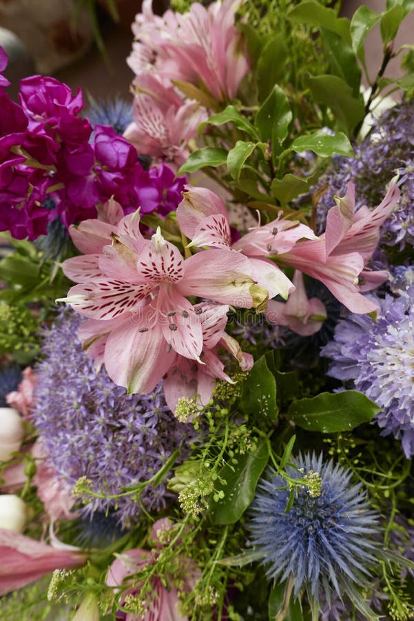 Flores rosadas y lilas imagen de archivo. Imagen de travieso - 253203453
