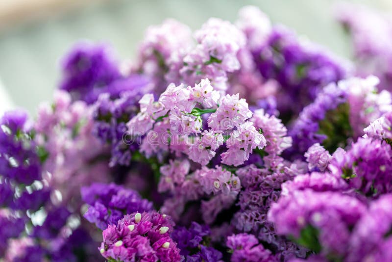 162 Fotos de Stock de Statis - Fotos de Stock Gratuitas e Sem ...