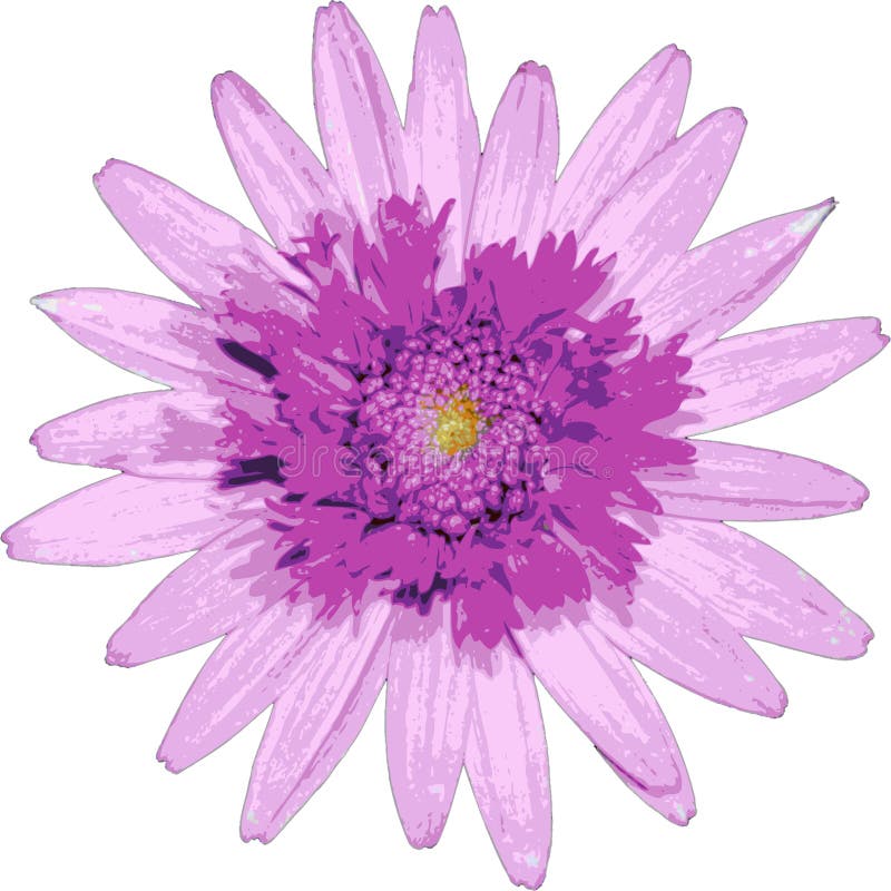 Flori stock vector. Illustration of structure, seasonal - 12563987