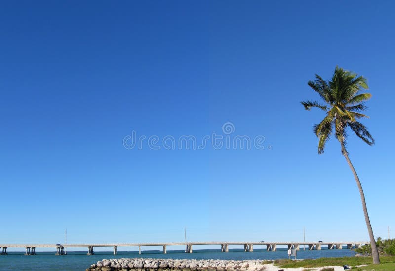 Florida stock photo. Image of keys, warm, tropical, beach - 12459490