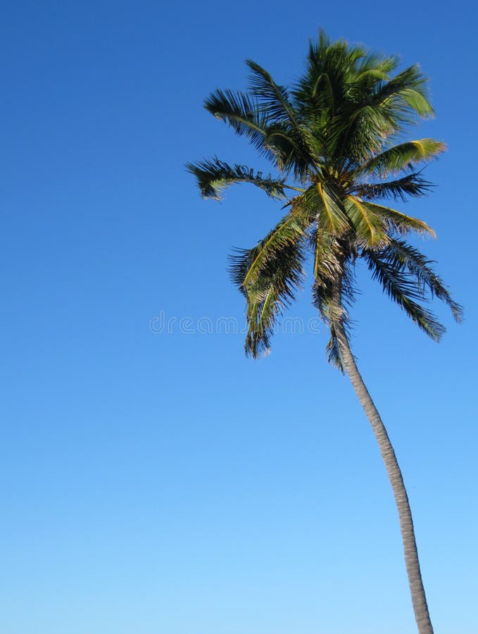 Sad stock image. Image of jeans, architecture, building - 6668509