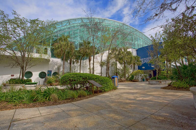 The Florida Aquarium editorial image. Image of trees - 40387645