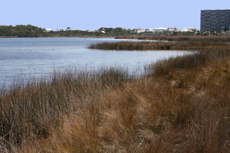Florida bay stock image. Image of seashore, beach, panhandle - 11219987