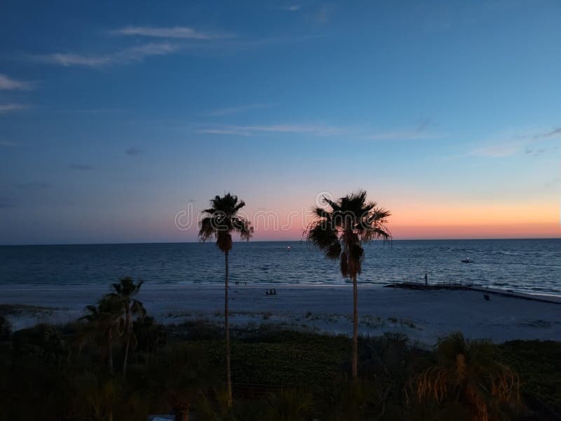 Florida Beach Sunset Palms Ocean View Stock Photo - Image of ocean ...