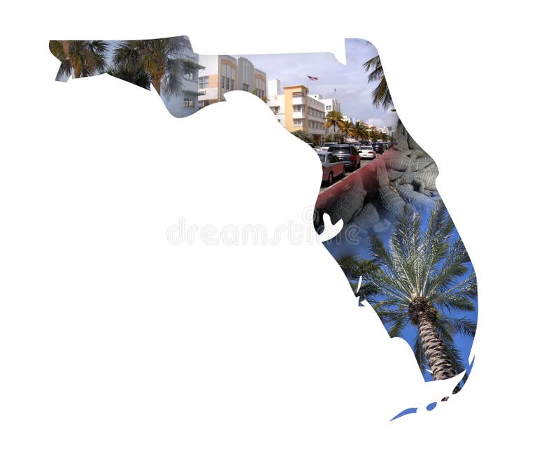 Florida Collage stock illustration. Illustration of sign - 7463625