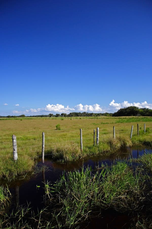 Florida Countryside Near a Golf Course Stock Photo - Image of ...