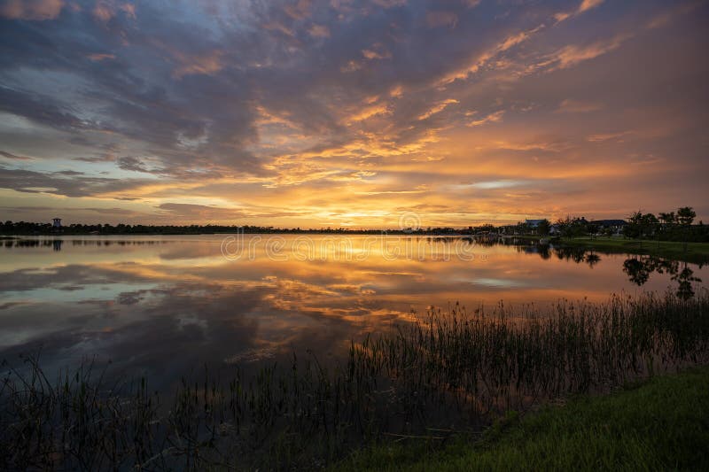 Florida Evening Nature. Wetland Lake at Sunset Stock Image - Image of ...