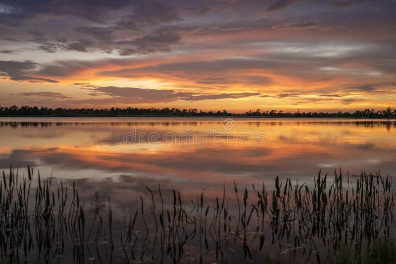 Florida Evening Nature. Wetland Lake at Sunset Stock Image - Image of ...