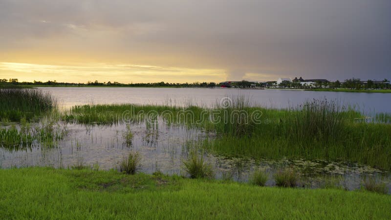 Florida Evening Nature. Wetland Lake at Sunset Stock Footage - Video of ...