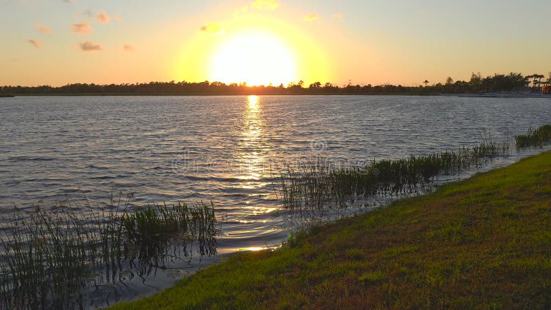 Florida Evening Nature. Wetland Lake at Sunset Stock Video - Video of ...