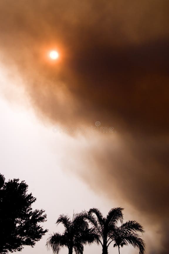 Florida on Fire editorial stock photo. Image of danger - 5151828