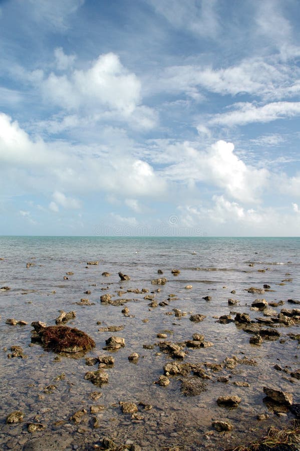 Florida Key Islands stock photo. Image of clear, islands - 3958774