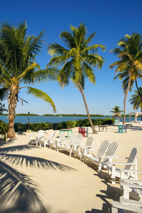 Florida Keys stock photo. Image of natural, horizon, seascape - 31904242