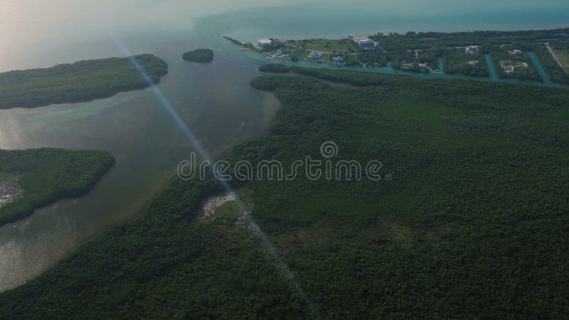 Florida Keys Aerial stock footage. Video of deer, aerial - 73701972