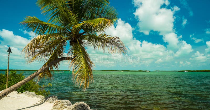 Florida Keys stock photo. Image of natural, horizon, seascape - 31904242