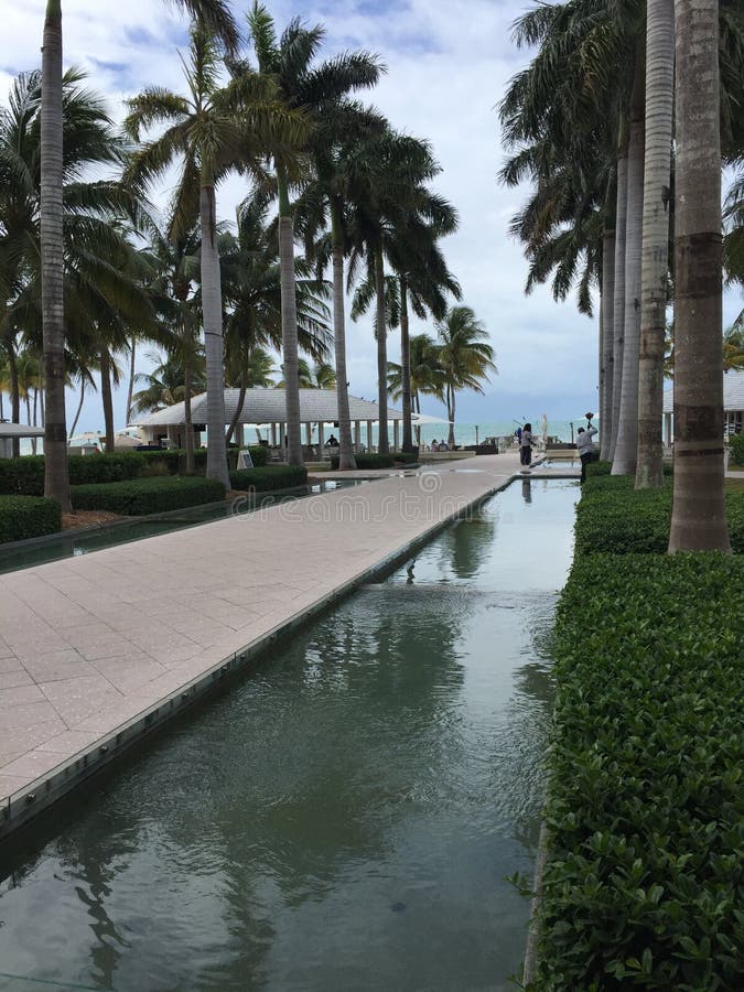 Florida Keys stock photo. Image of keywest, lake, beautiful - 102662528