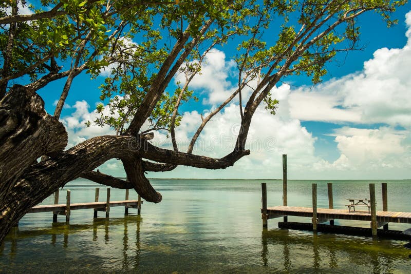 Florida Keys stock photo. Image of natural, horizon, seascape - 31904242