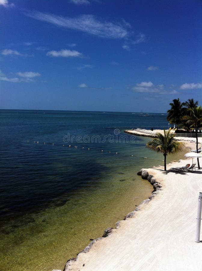 Florida Keys shore stock image. Image of beach, trees - 85507473