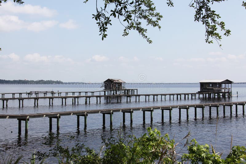 Florida landscape stock image. Image of exoticism, flora - 60944965