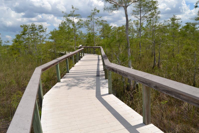 Everglades Boardwalk stock image. Image of sunset, wetland - 51241417