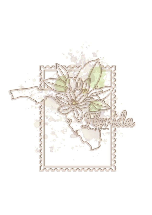 Florida Map with Flower. Vector Illustration Decorative Design Stock ...