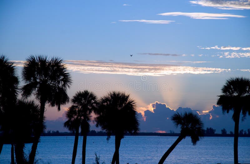 Florida Beach View from Ocean Stock Image - Image of beauty, city: 1221067
