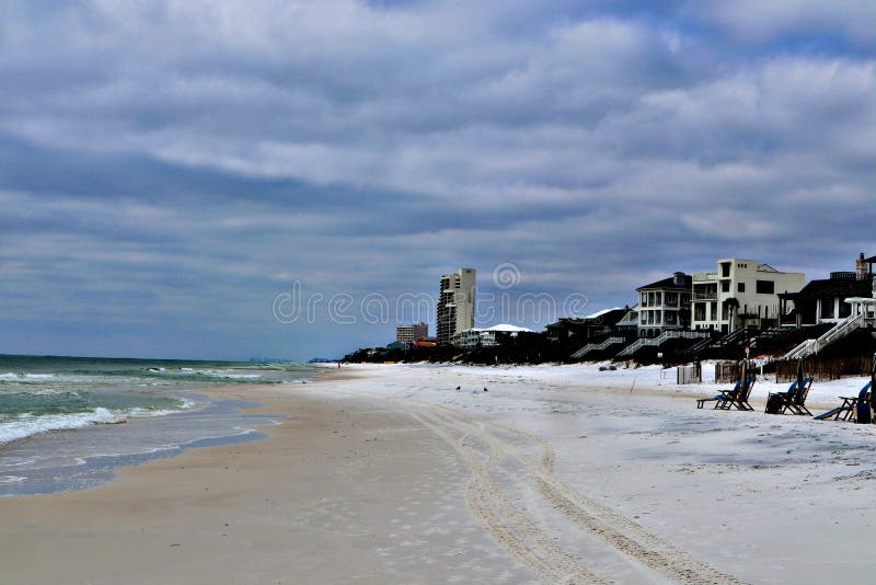 Florida Morning Stretch in the Sunshine for Great Egret Stock Image ...