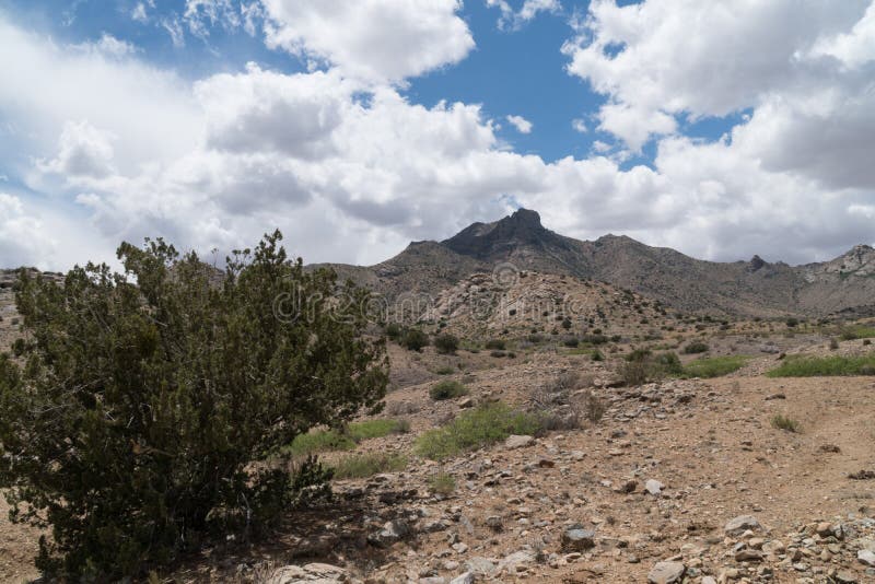 Florida Mountains Scenic, New Mexico Stock Photo - Image of sight, west ...