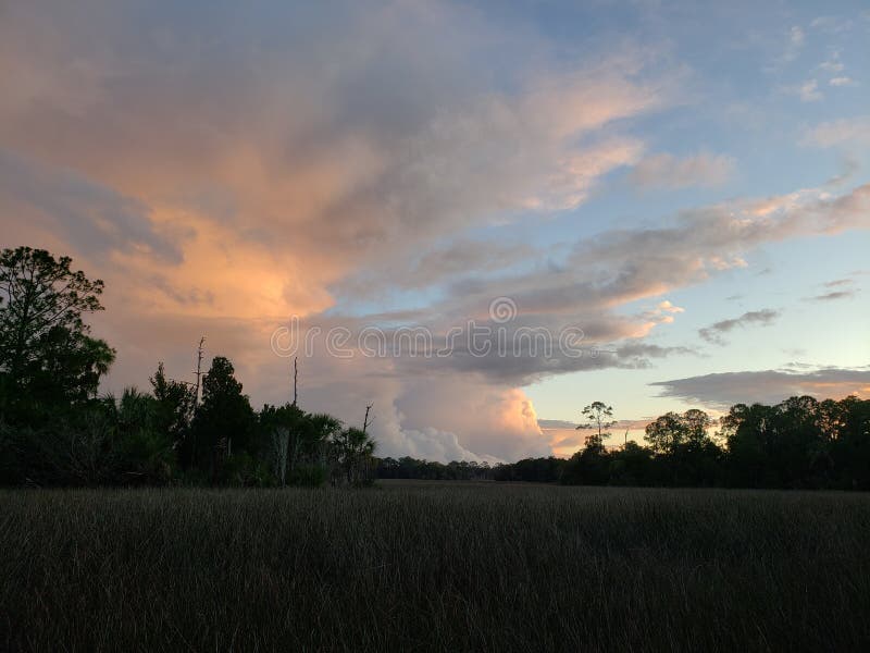 Florida Nature Coast Marshland Gulf Preserve Stock Photo - Image of ...
