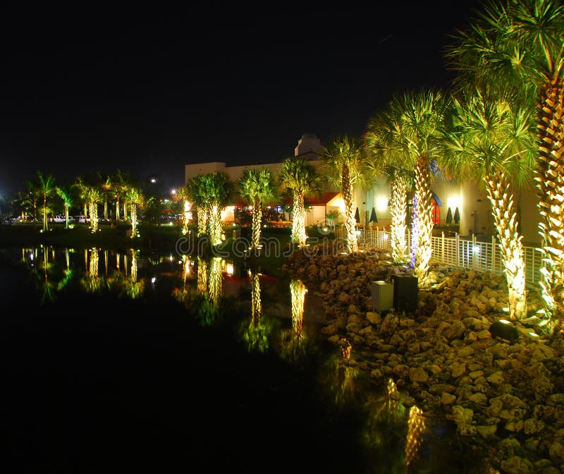 Florida nightlife stock photo. Image of dark, palm, darkness - 3276960