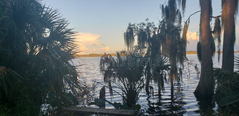 Florida October sunset stock image. Image of october - 162370717