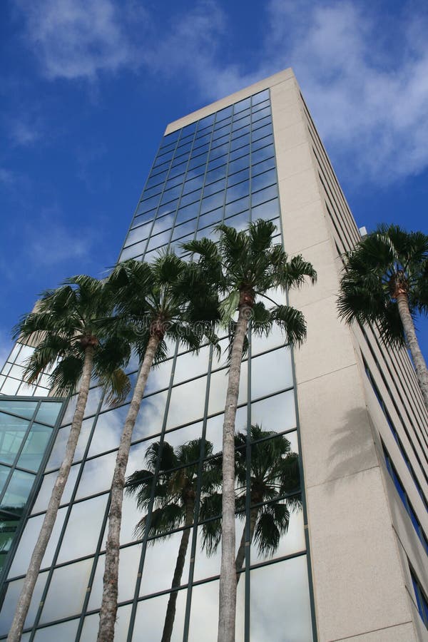 Florida Office Building stock image. Image of florida - 3922467