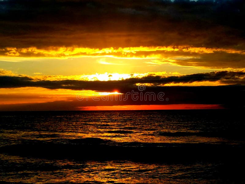 Florida Orange stock image. Image of agriculture, fresh - 2998315