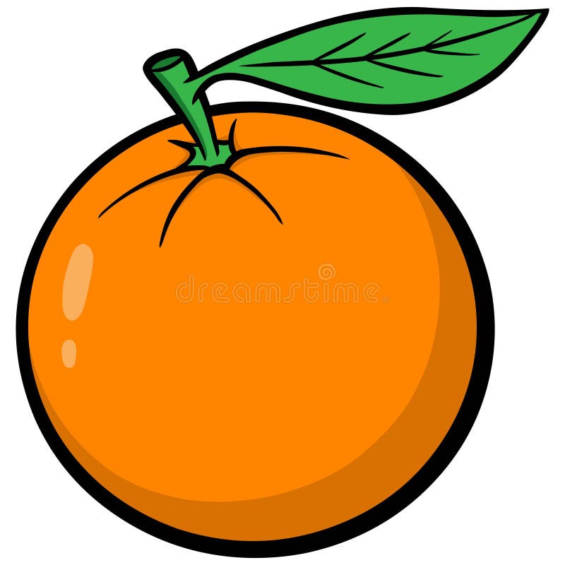 Florida Orange stock vector. Illustration of healthcare - 55195487