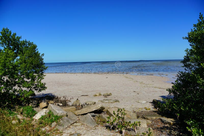Florida palm harbor beach stock photo. Image of mexico - 173904428