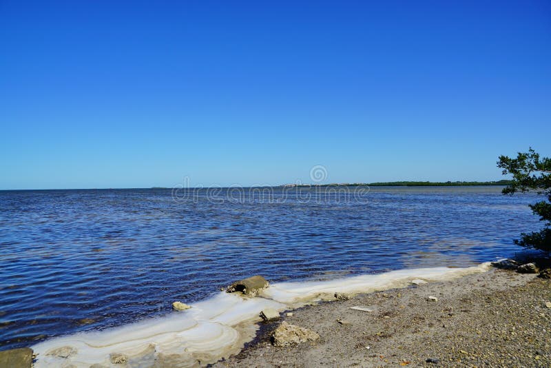 Florida palm harbor beach stock photo. Image of color - 173904764