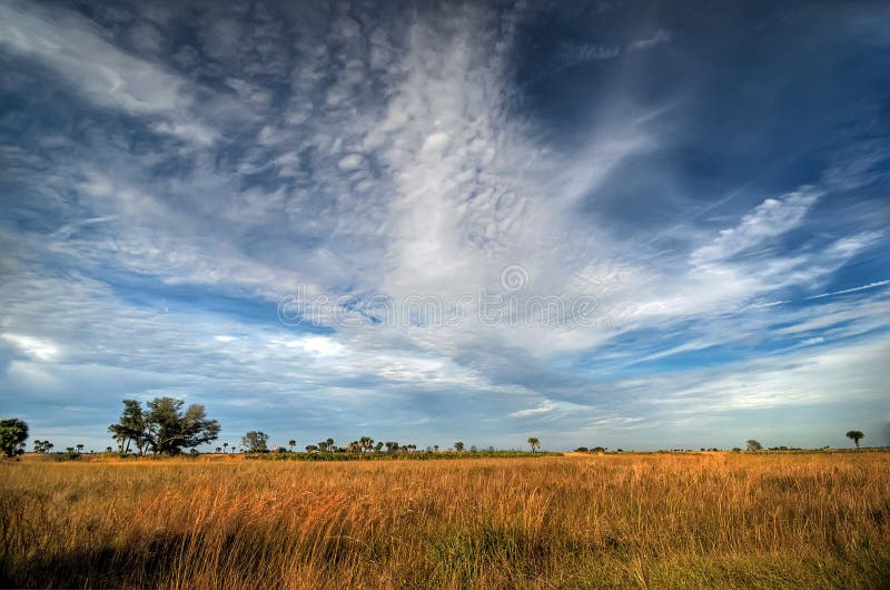 Florida prairie stock image. Image of continent, angle - 12495377