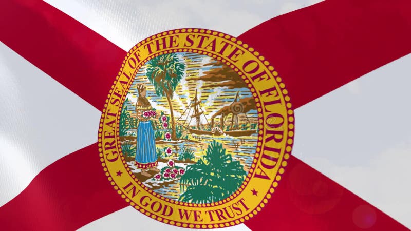 Florida Realistic Flag Animation. Stock Footage - Video of country ...