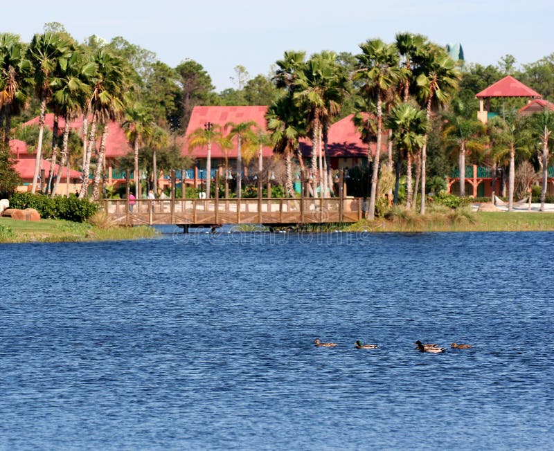 Florida Resort stock image. Image of buildings, floating - 1956671