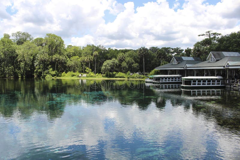 Florida Spring-fed River Panorama Stock Image - Image of central ...