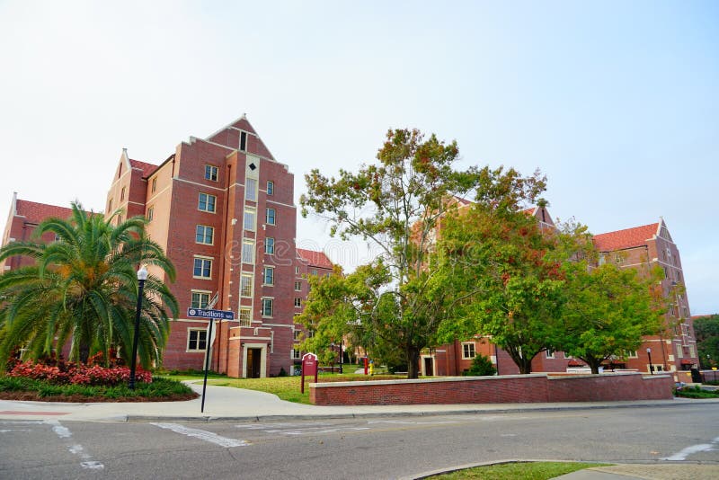 Florida State University stock photo. Image of seminoles - 103739242