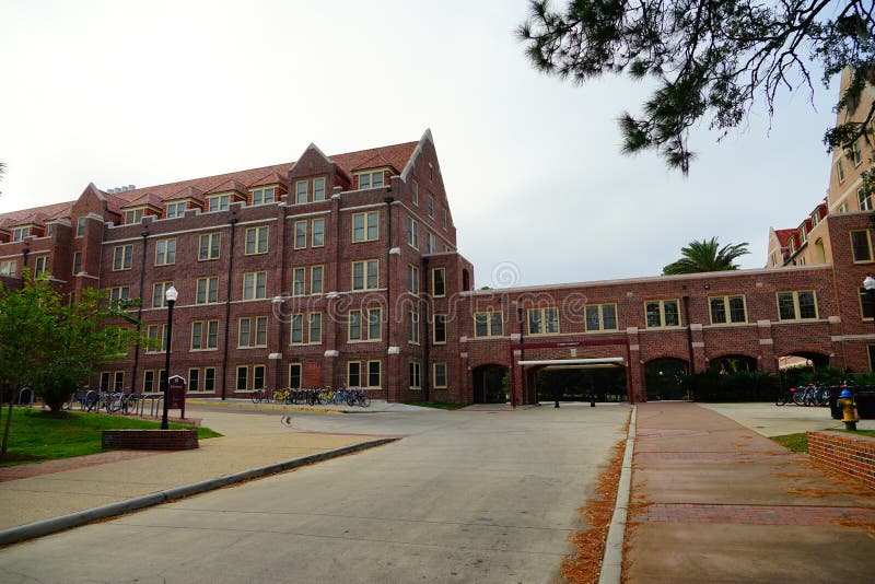 Florida State University editorial stock image. Image of green - 103739544