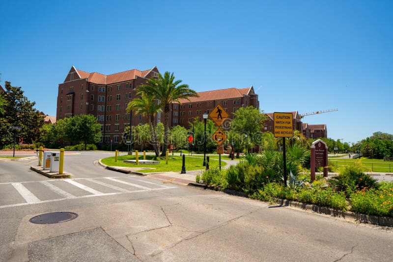 Florida State University Campus Landscape Scene Stock Image - Image of ...